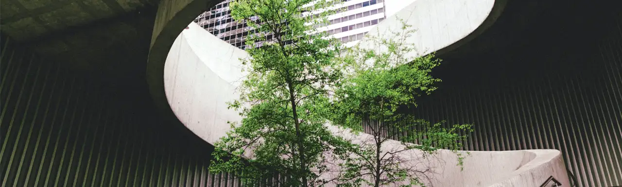 Engineering with Nature