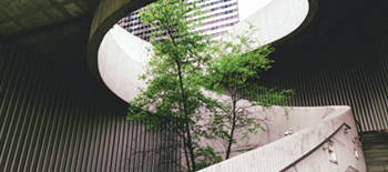 Engineering with Nature