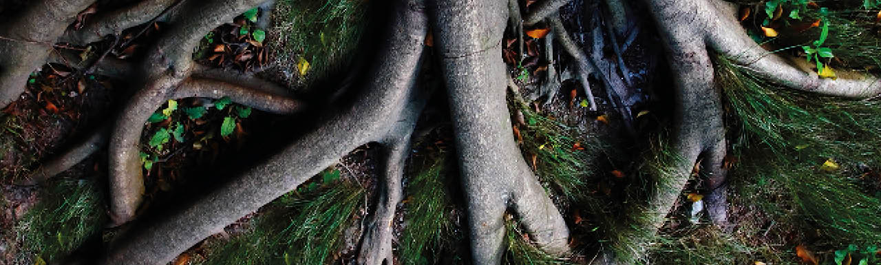 Sustainability takes root; why sustainable business means better business