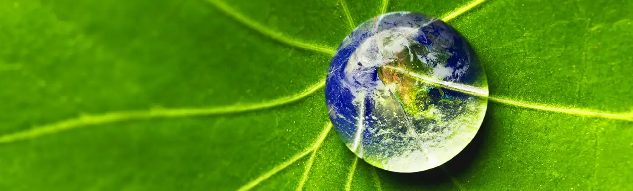 Insuring the future of the global environment